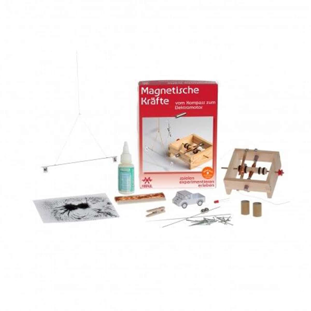 Kraul Magnetische Kräfte - Naturkind Welt